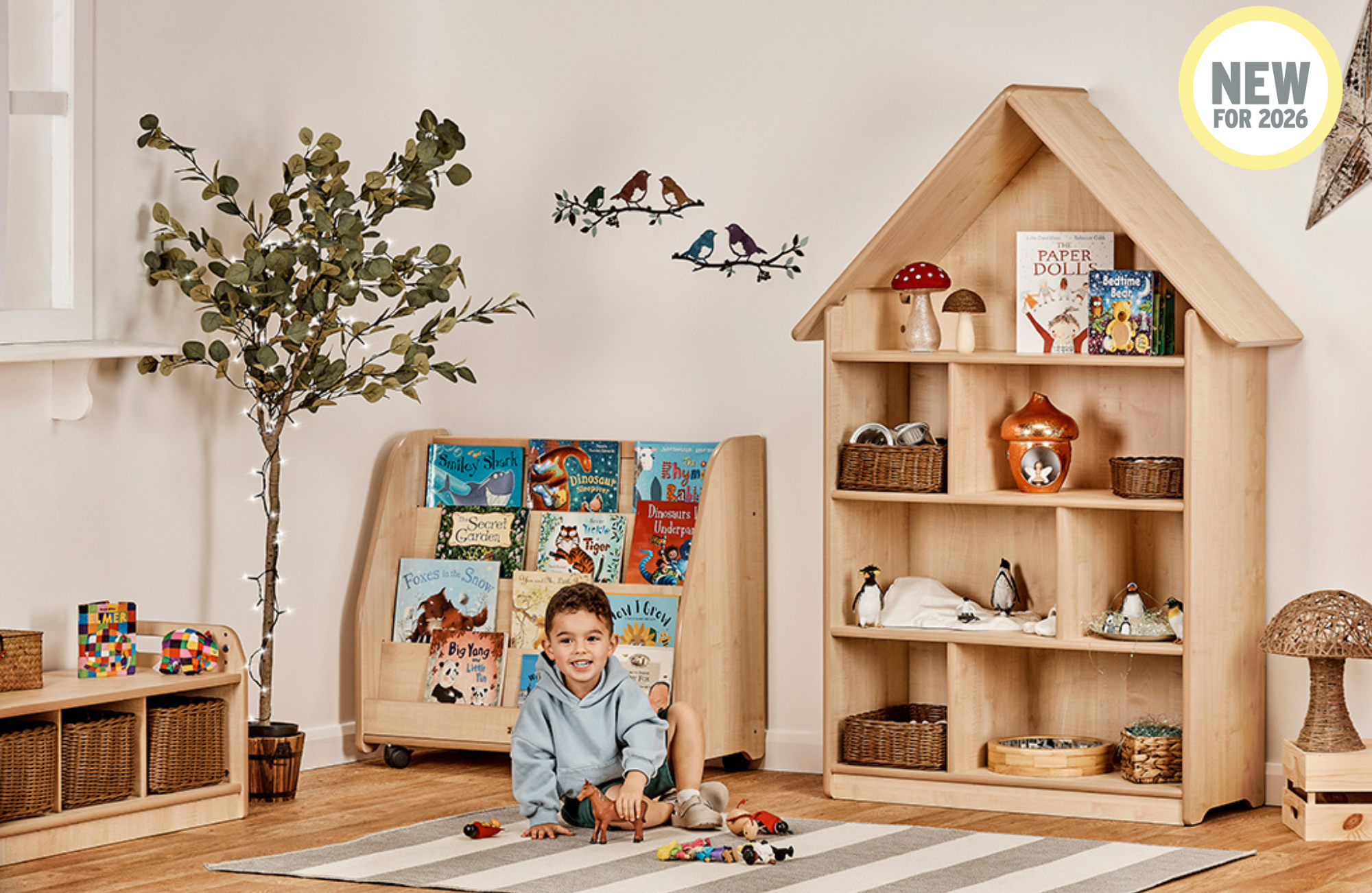 House Display Shelving